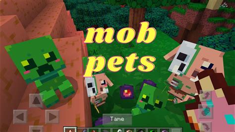 Second Gaming Video Minecraft Mob Pets Youtube