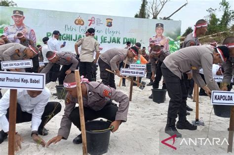 Lahan Bekas Tambang Timah Di Bangka Belitung Ditanami Bibit Pohon