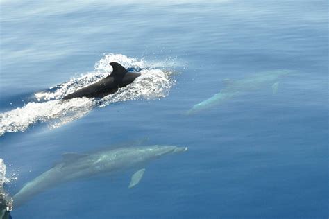 Adventure Sailing Croatia Go Explore Croatia