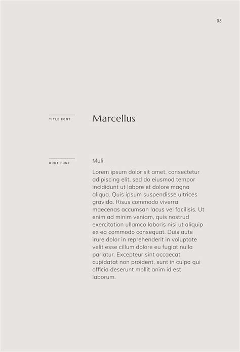 Minimal And Modern Squarespace Font Pairings For Beauty Brands The Denizen Co