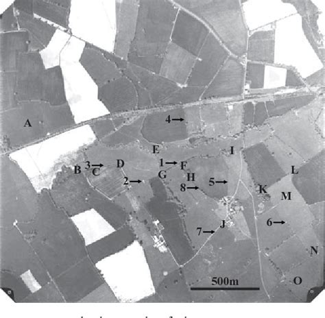 Figure 1 From Landscape Structure Influences Pollinator Movements And Directly Affects Plant