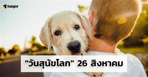 วันสุนัขโลก 26 สิงหาคม 2565 ร่วมฉลองให้เพื่อนแท้ ผู้ซื่อสัตย์ของมนุษย์