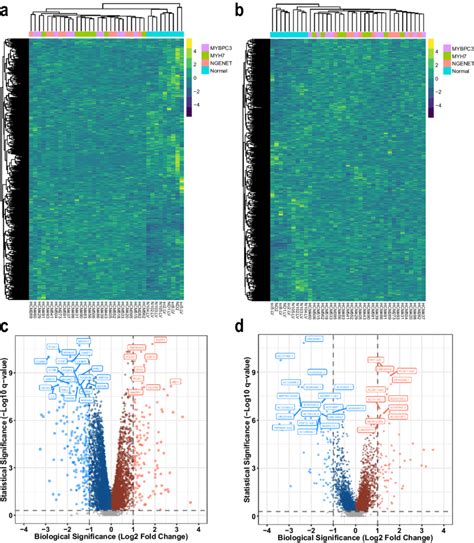 Expression Profiles Of Coding And Lncrna Genes A Hierarchical