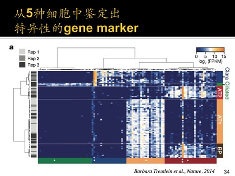 知乎live总结 重复nature文章笔记single Cell Csdn博客