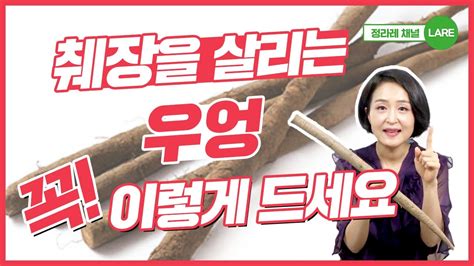 보약보다 좋은 우엉 이렇게 먹어야 합니다 우엉 효능과 부작용 정라레 Youtube