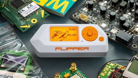 Can You Run Python On Flipper Zero Full Guide 2025