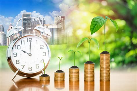 그래프 및 알람 시계와 함께 돈 동전 스택에 돈을 성장 하는 식물 자연과 대도시 배경 흐림 0명에 대한 스톡 사진 및 기타 이미지 0명 개념 경제 Istock