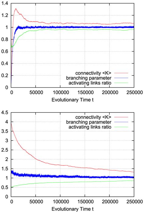 Typical Run Of The Network Self Organization Algorithm Regardless Of