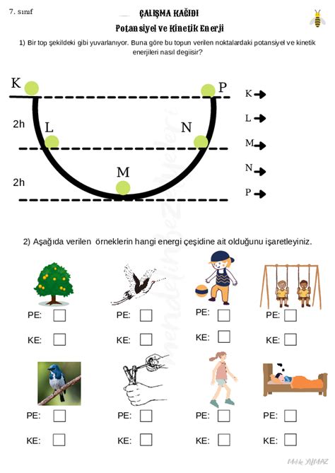 7 Sınıf Fen Bilimleri Enerji ve enerji dönüşümleri Çalışma Kağıdı