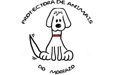 Colexio De Quintela Moaña Protectora Do Morrazo