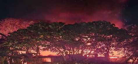 3 Ka Managsoon Patay Sa Sunog Sa Taytay Rizal Bombo Radyo Butuan