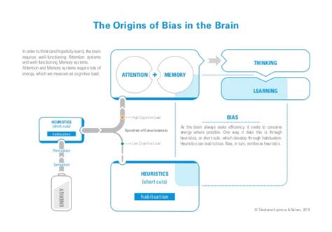 The Origin Of Bias In The Brain
