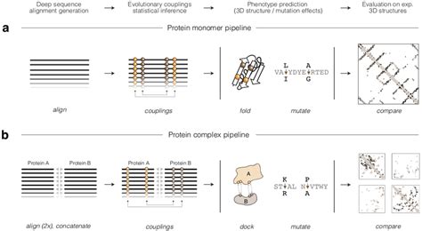 The Evcouplings Python Framework A Protein Monomer Evcouplings
