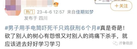 热搜！男子吓死1100只鸡获刑6个月，凶器让人意想不到澎湃号·政务澎湃新闻 The Paper