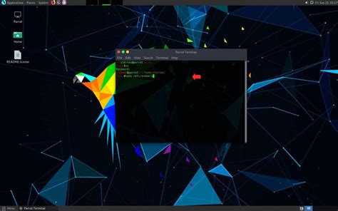 Parrot Linux Wallpapers Top Free Parrot Linux Backgrounds WallpaperAccess