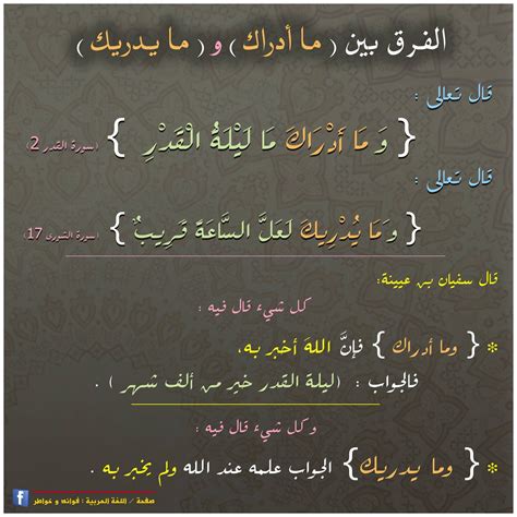 「٩٧ سورة القدر」おしゃれまとめの人気アイデア｜pinterest｜khaled Bahnasawy