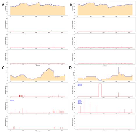 A New Method And Application Of Pacbio Sequencing For Low Copy And