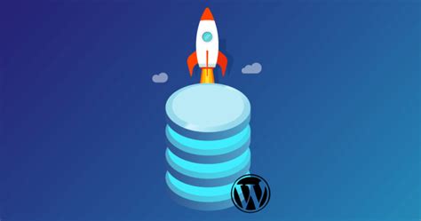 Best Wordpress Database Plugin Options To Accelerate Your Database