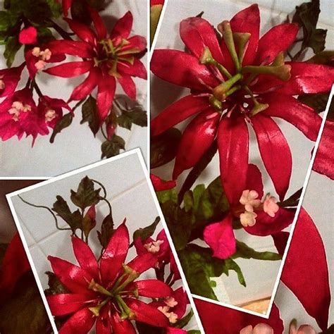 Red Flowers With Green Leaves