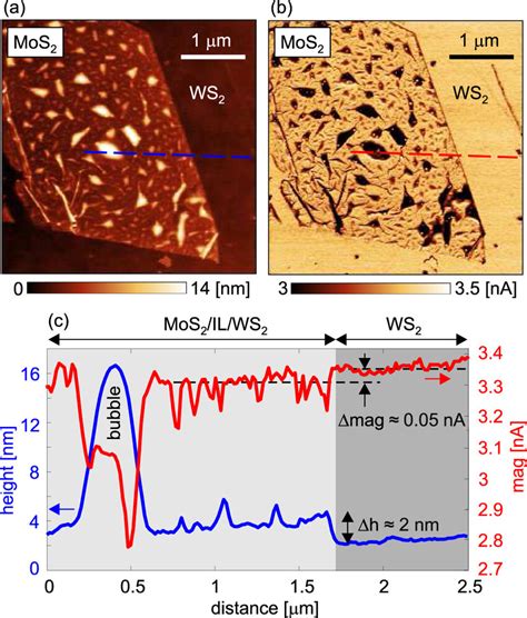 A Morphology Of Mos2 Ws2 Heterostructure B Corresponding Magnitude Download Scientific