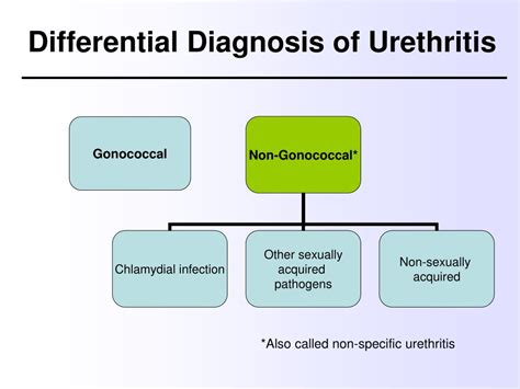Ppt May 20 2010 Sexually Transmitted Diseases Genital Syndromes In