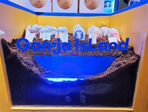 현대백화점 판교점 식품관 감자 아일랜드 수제 맥주 5종 후기 네이버 블로그