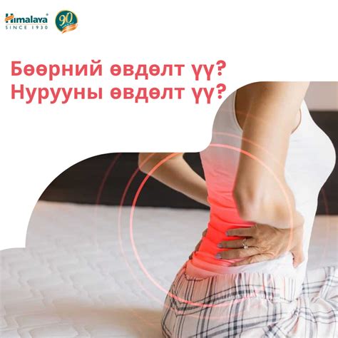 Бөөрний өвдөлт үү эсвэл нурууны өвдөлт үү Хэрхэн ялгах вэ “ЦАХИУР