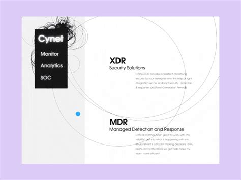 Security Solutions Designs Themes Templates And Downloadable Graphic