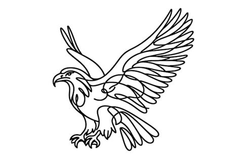 Eagle Outline Drawing Art Vectors And Illustrations For Free Download