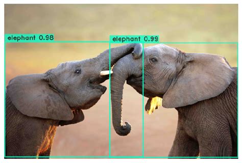 Mastering Object Detection With Yolo Nas By Rania Clique Community Medium