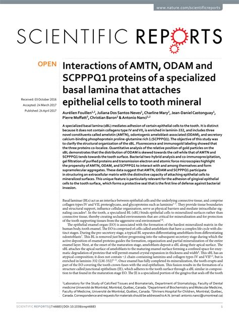 Pdf Interactions Of Amtn Odam And Scpppq1 Proteins Of A Specialized