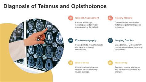 Top 10 Muscle Contraction Powerpoint Presentation Templates In 2025