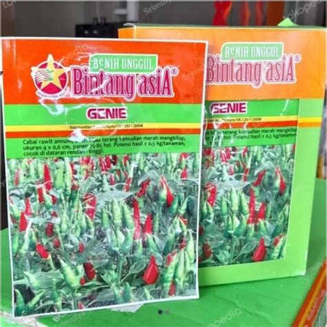 Benih Bibit Cabai Cabe Rawit Genie 10gram Bintang Asia 100 Asli