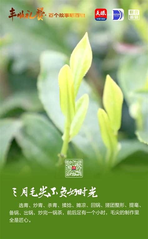 百个故事晒百物·茶 叶与人的故事 到清茗里来品一品贵州