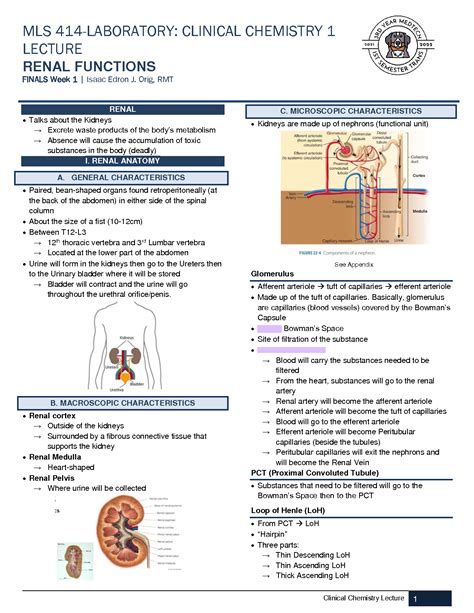 Solution Renal Function Studypool