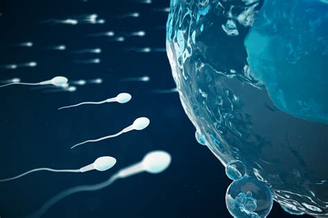 정자와 난 자 세포 Ovum입니다 네이티브 및 자연 수정클로 우즈 업 보기 새로운 생명의 개념 시작입니다 의료 개념 3d 그림
