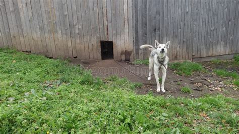 Белая загородка вдоль моря Gelendzhik Стоковое Фото изображение насчитывающей 128348144