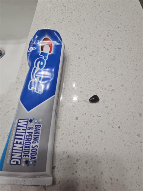 Whats This Little Guy Some Kind Of Cockroach Rwhatisthisbug