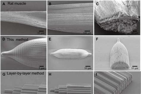 Free Space Nanoprinting Beyond Optical Limits To Create 4d Functional Structures Statnano