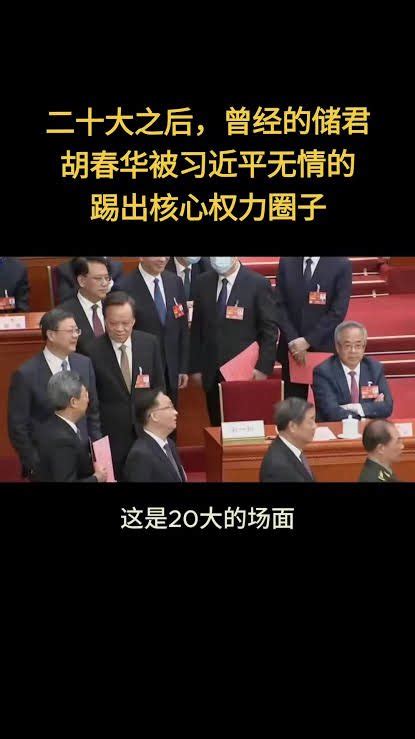 团派作为一股政治力量活跃在中共政治舞台30多年，贯穿了整个改革开放时期，这一股政治力量现在已经完全不复存在。实际上重用年轻化知识化的官员从邓