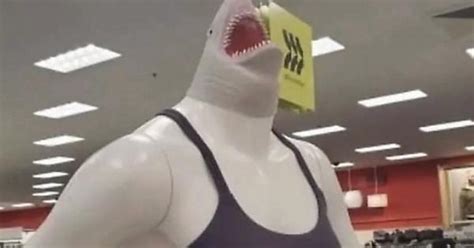 Man Eater™️ Album On Imgur