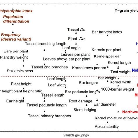 Grain Yield Mg Ha As A Function Of Maternal Open Pollinated Corn Download Scientific