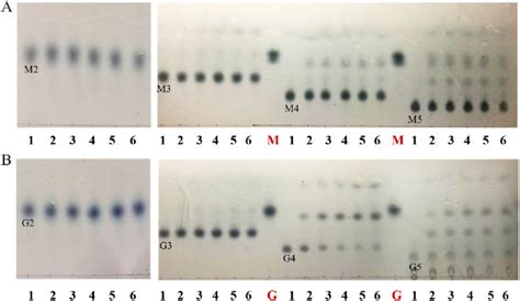 Tlc Analysis Of The Degradation Products Of Alyrm1 Towards Download Scientific Diagram