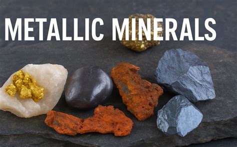 Kerogen And Its Types In Geology