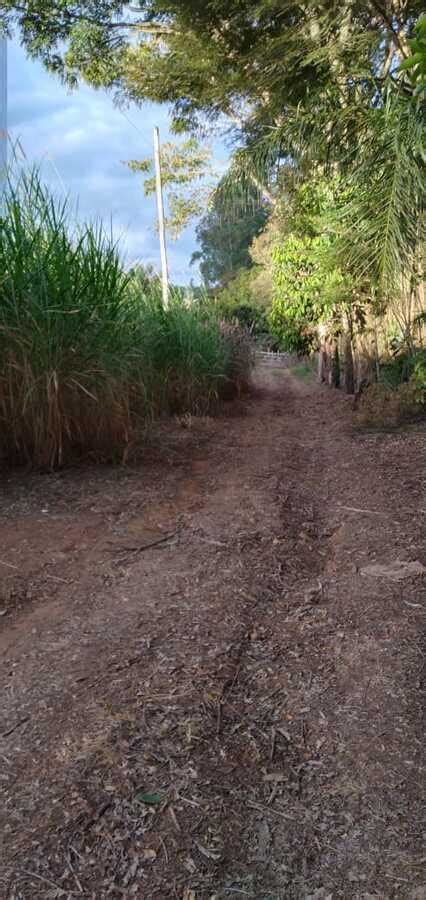 Terreno para Venda bairro as margens da Br 262 área total 5 50 Alqueires