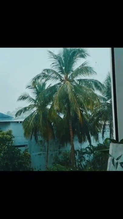 ഒരിക്കൽ N Mohanan Books Bookworm Malayalam Story Book Bestseller Malayalam Book Youtube