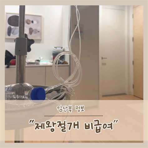 제왕절개 비급여 종류 선택 후기 페인버스터 유착방지제 Cs케어 네이버 블로그