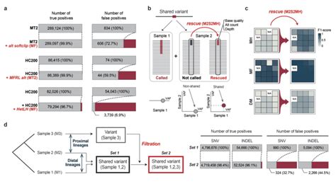 Additional Strategies For Mosaic Variant Calling Download Scientific
