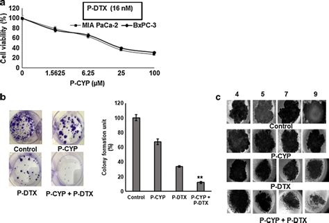 Cell Viability Assay At 48 H Post Incubation Of Mia Paca 2 And Bxpc 3