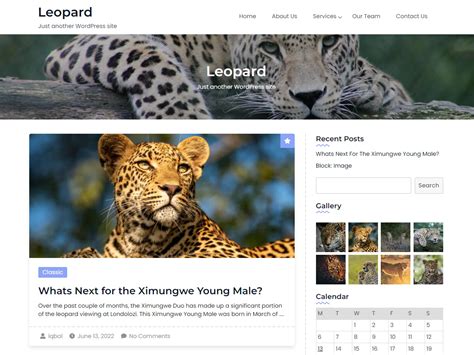 Leopard Dynamic Blog Theme